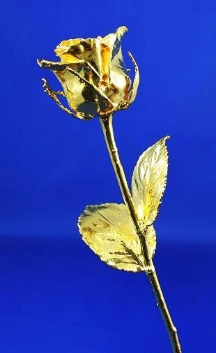 A Real Natural Rose Preserved and Dipped in 24k Pure Gold - 15cms (7 ...